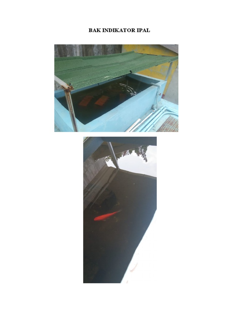 Bak Indikator Ipal | PDF