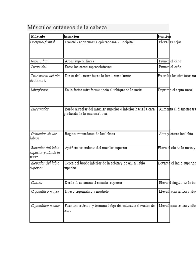 Músculos Cutáneos de La Cabeza | PDF