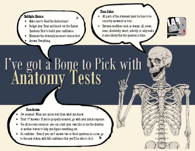 Tips and Strategies for Aceing Different Types of Anatomy Exam ...