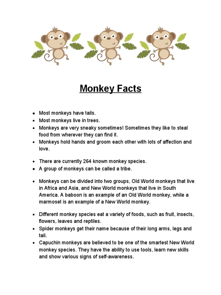 Monkey Facts | PDF