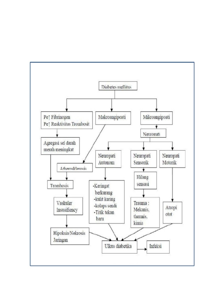 Pathway Ulkus Pdf