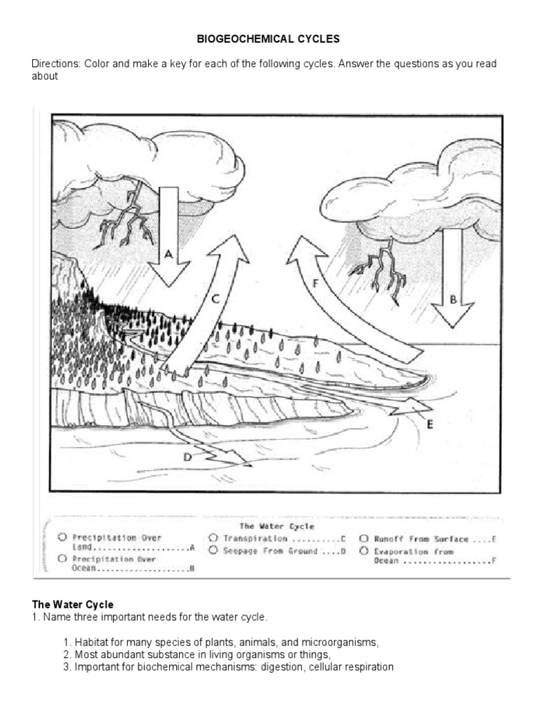 BIOGEOCHEMICAL - CYCLES - Activity Answer | PDF | Phosphorus | Nitrogen