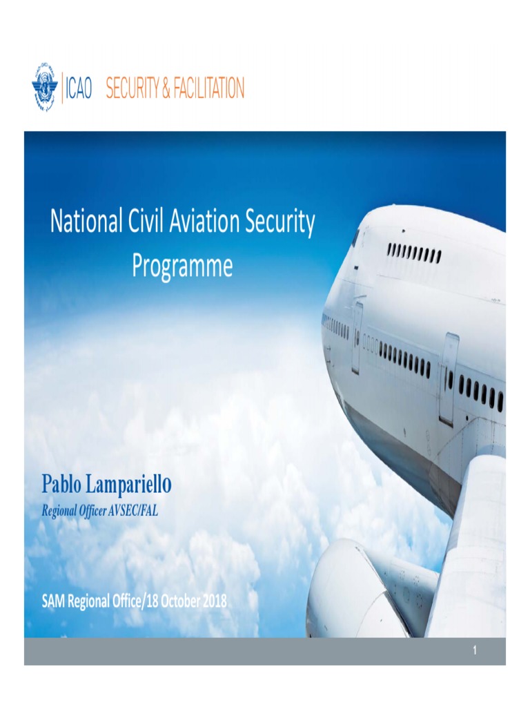 PLampariello-NCASP Eng | Download Free PDF | Airport Security | Airport