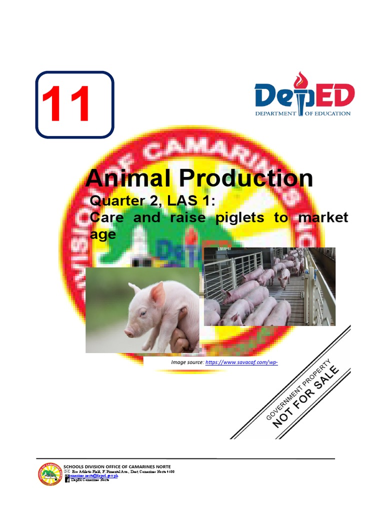 Animal-Production G11 Wk1 | PDF | Domestic Pig | Copyright