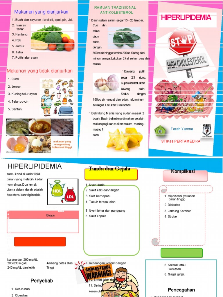 Leaflet Hiperlipidemia | PDF