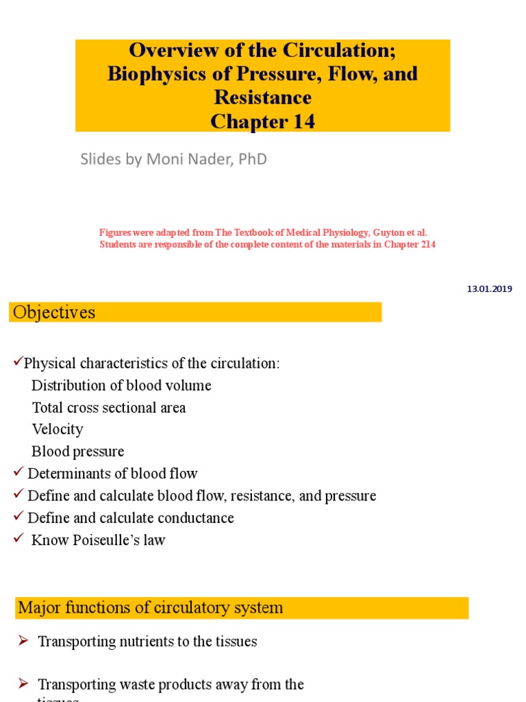 Chapter 14 - Overview of The Circulation | PDF | Hemodynamics ...