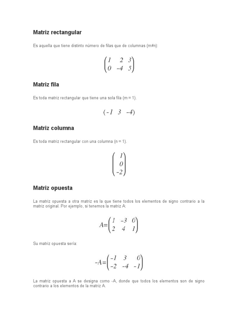 Matrices y Sus Tipos | PDF | Matriz (Matemáticas) | Análisis funcional