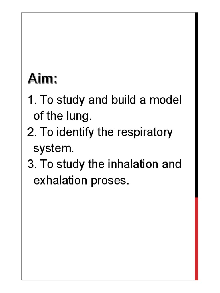 To Study and Build A Model of The Lung. 2. To Identify The Respiratory ...