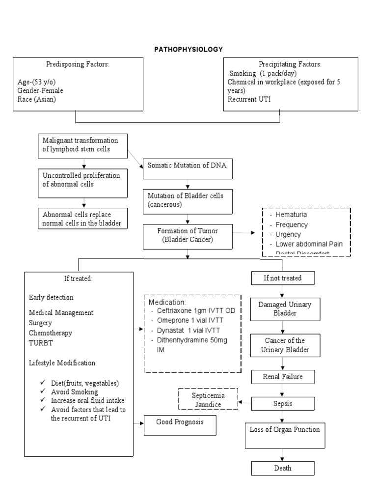 Pathophysiology: - Hematuria - Frequency - Urgency - Lower Abdominal ...