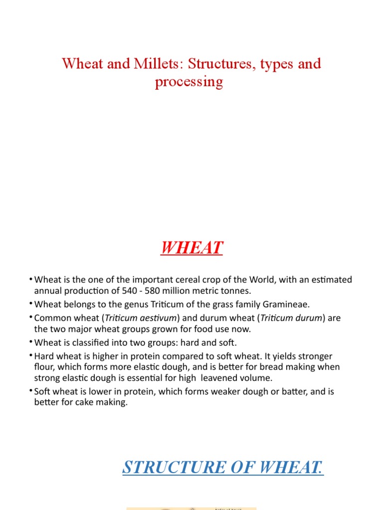 Wheat Millets Structure Types and Processing | PDF | Flour | Wheat