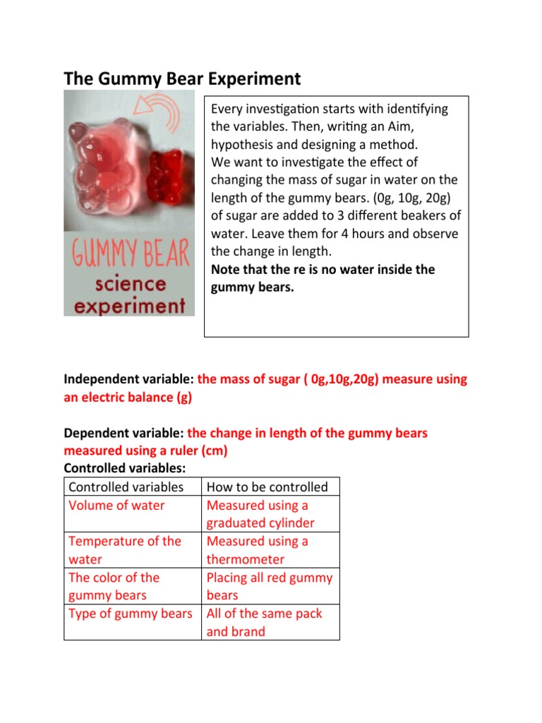 The Gummy Bear Experiment Answer | PDF | Water | Experiment