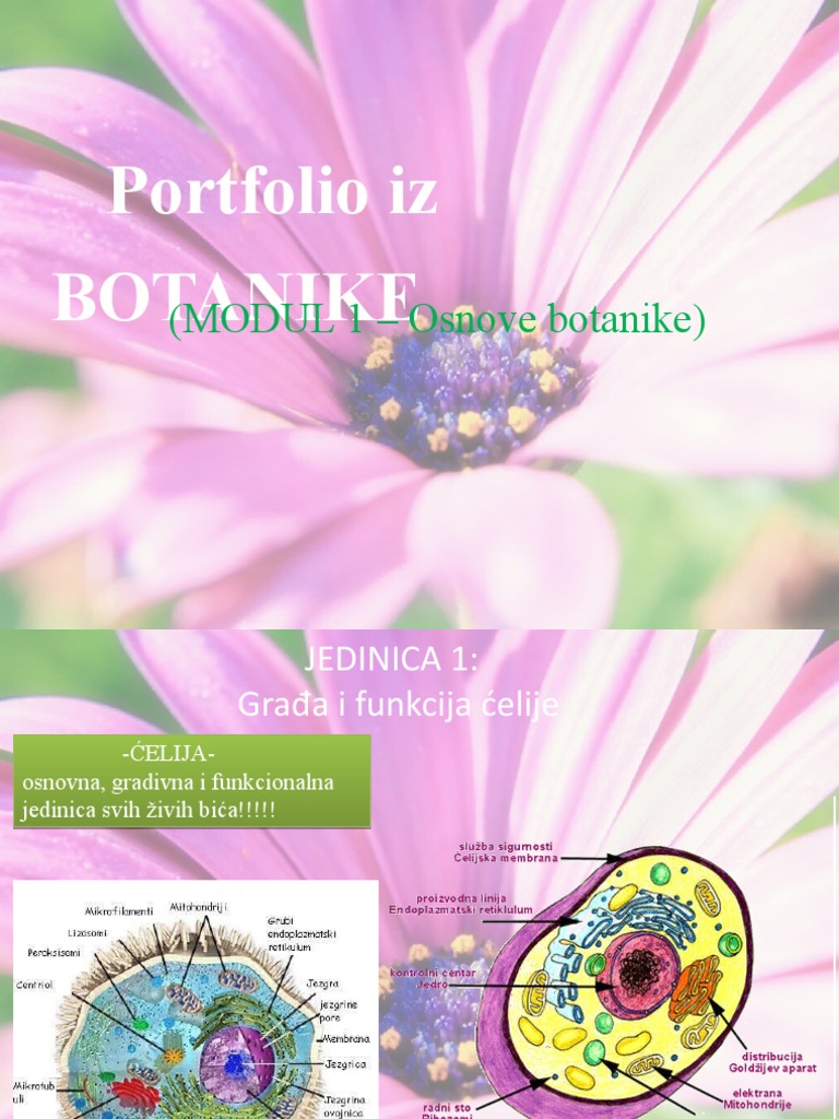 Portfolio Botanika | PDF