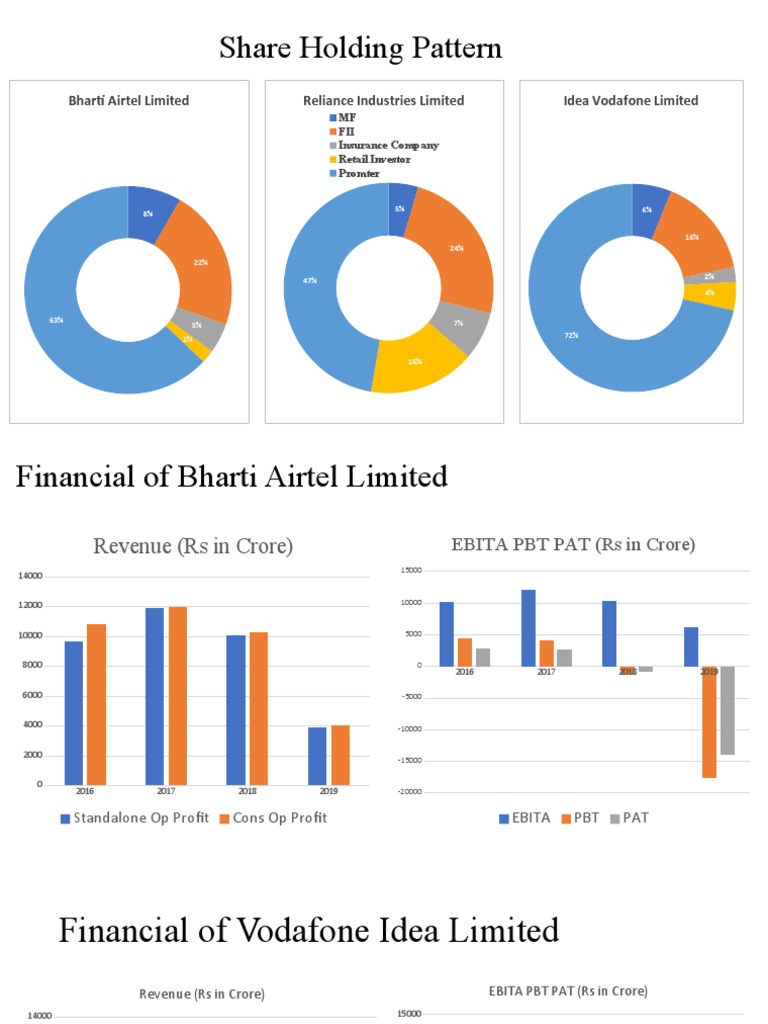 Shareholding Patterns and Financials Analysis | PDF | Economy Of India ...