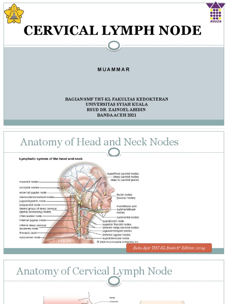 Slide 1 Cervical Lymph Nodes (Muammar) | PDF | Pengembangan Diri ...
