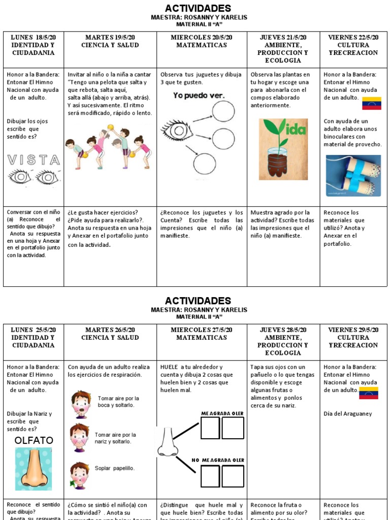 Plan de Accion Semana 18 Al 22 de Mayo | PDF