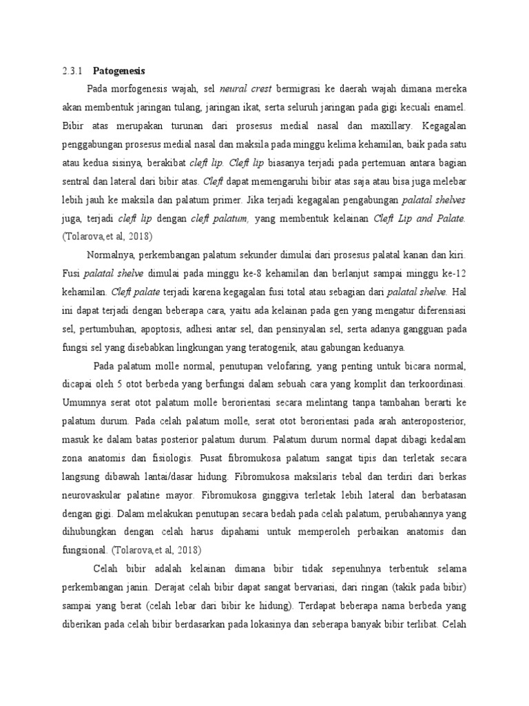 Patogenesis CLP | PDF