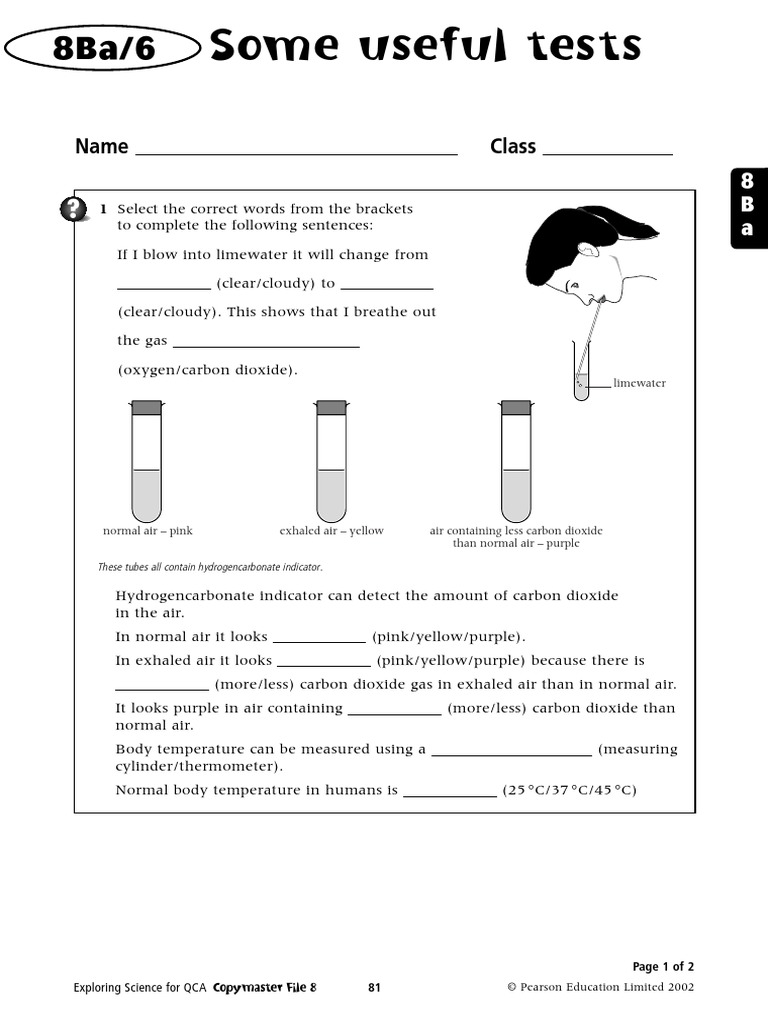 1 Respiration Practical Tests | PDF | Exhalation | Breathing