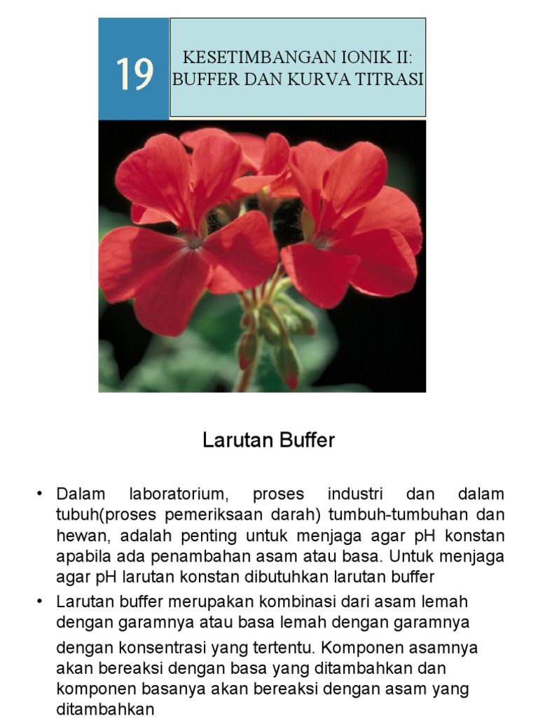 Buffer Dan Kurva Titrasi | PDF