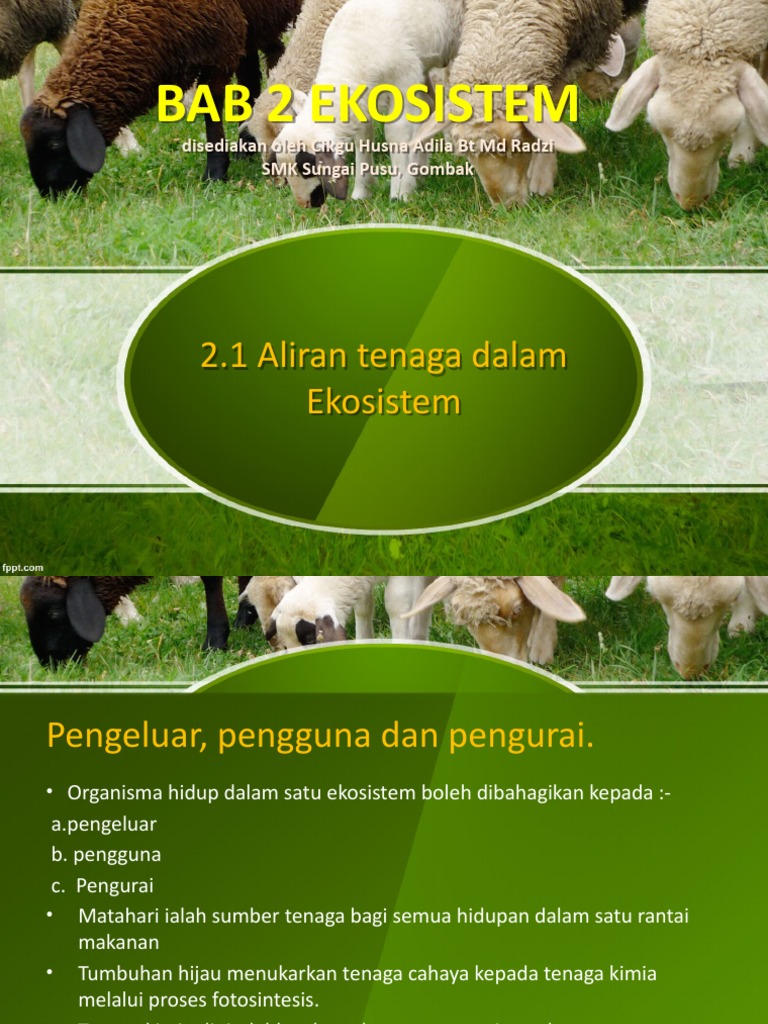 2 1 Aliran Tenaga Dalam Ekosistem Pdf