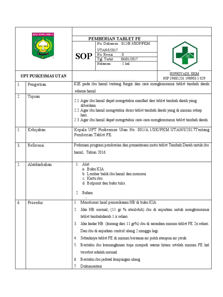 Panduan Tablet FE untuk Ibu Hamil | PDF | Kesehatan Holistik