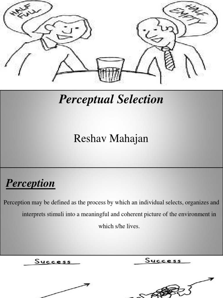 Internal Factors Affecting Perception | PDF | Perception | Attention