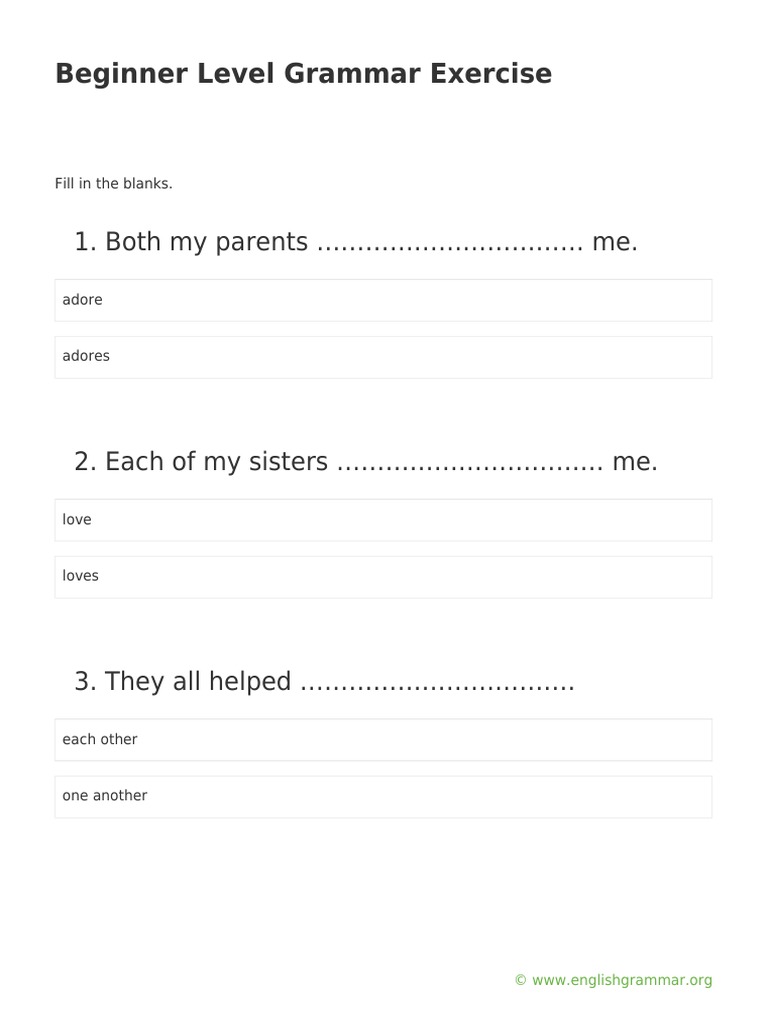 Beginner Level Grammar Exercise | PDF