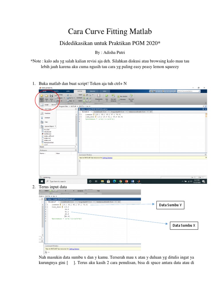 Cara Curve Fitting Matlab | PDF