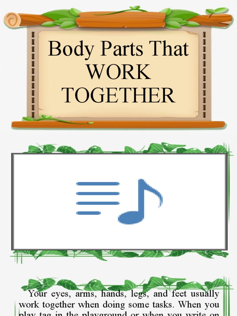 Body Parts That Work Together | PDF