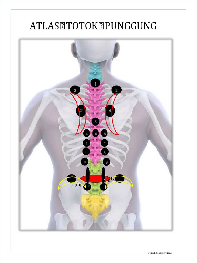 Totok Punggung 1 | PDF