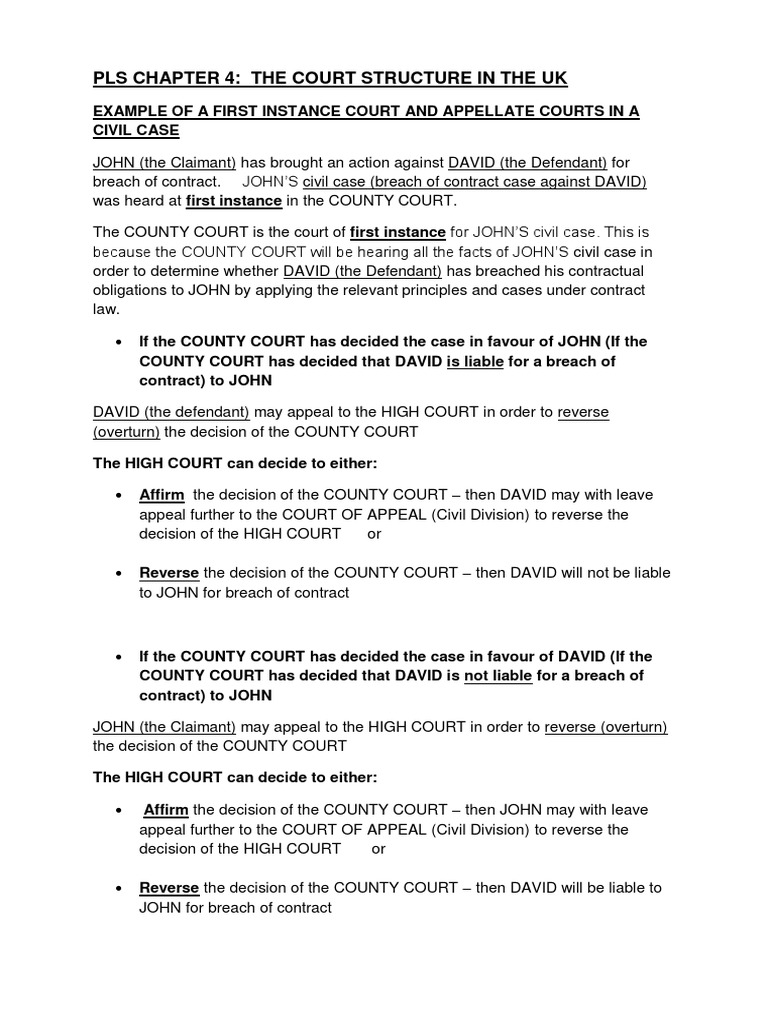 First Instance and Appellate Courts Examples | PDF | Appeal | Judiciaries