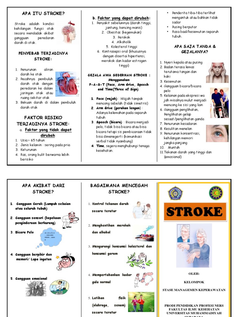 Leaflet STROKE/CVA | PDF