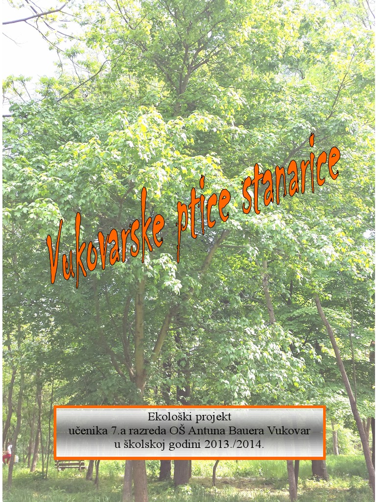Ptice Stanarice | PDF