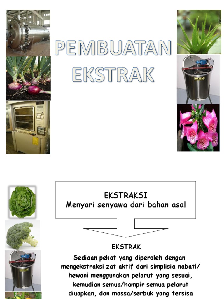 Pembuatan Ekstrak | PDF