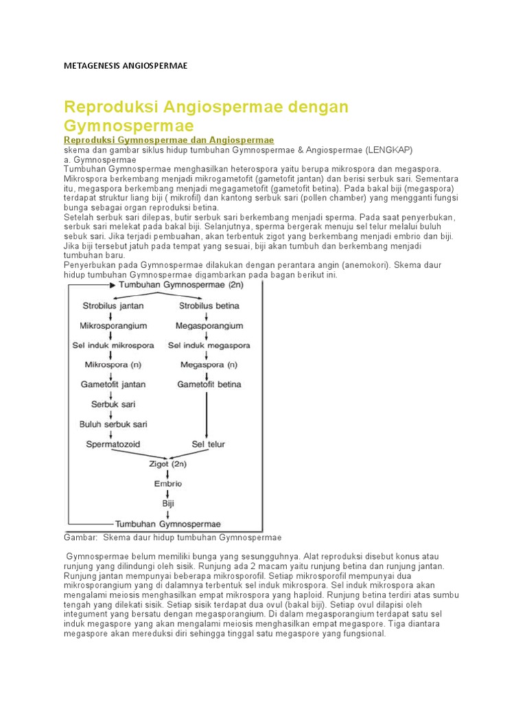 Metagenesis Angiospermae | PDF