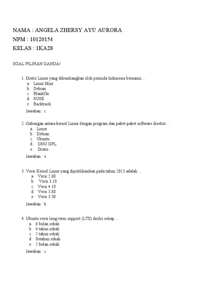 Soal Ptsi B | PDF | Game & Aktivitas | Komputer