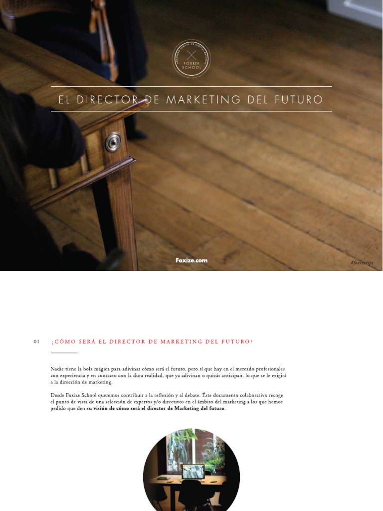 Director de Marketing Futuro | PDF