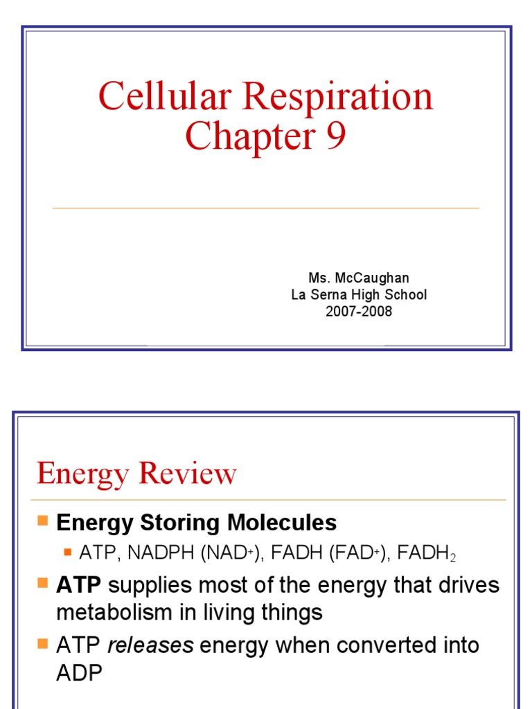 Cellular Respiration PowerPoint | PDF | Cellular Respiration | Glycolysis