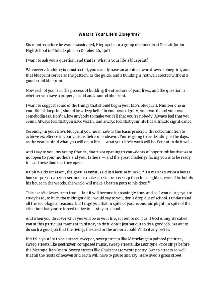 MLK's Life Blueprint for Success | PDF | Art