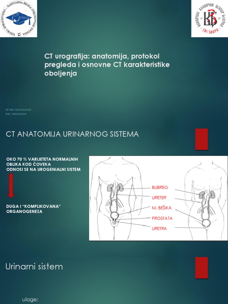 5.CT Urografija - Anatomija, Protokol Pregleda I Osnovne CT ...
