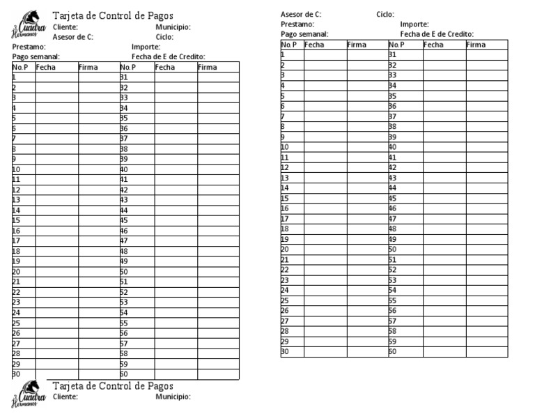 Tarjeta de Control de Pagos | Descargar gratis PDF | Violencia