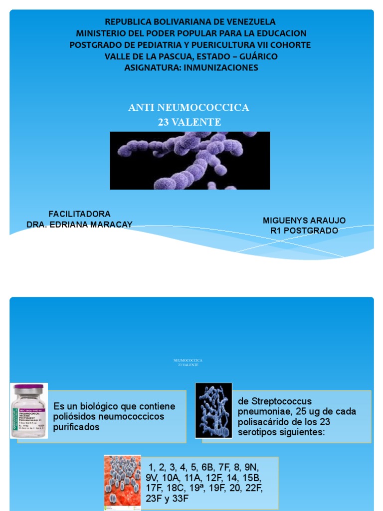 Neumococo 23 Valente | PDF | Vacunas | Sistema inmune