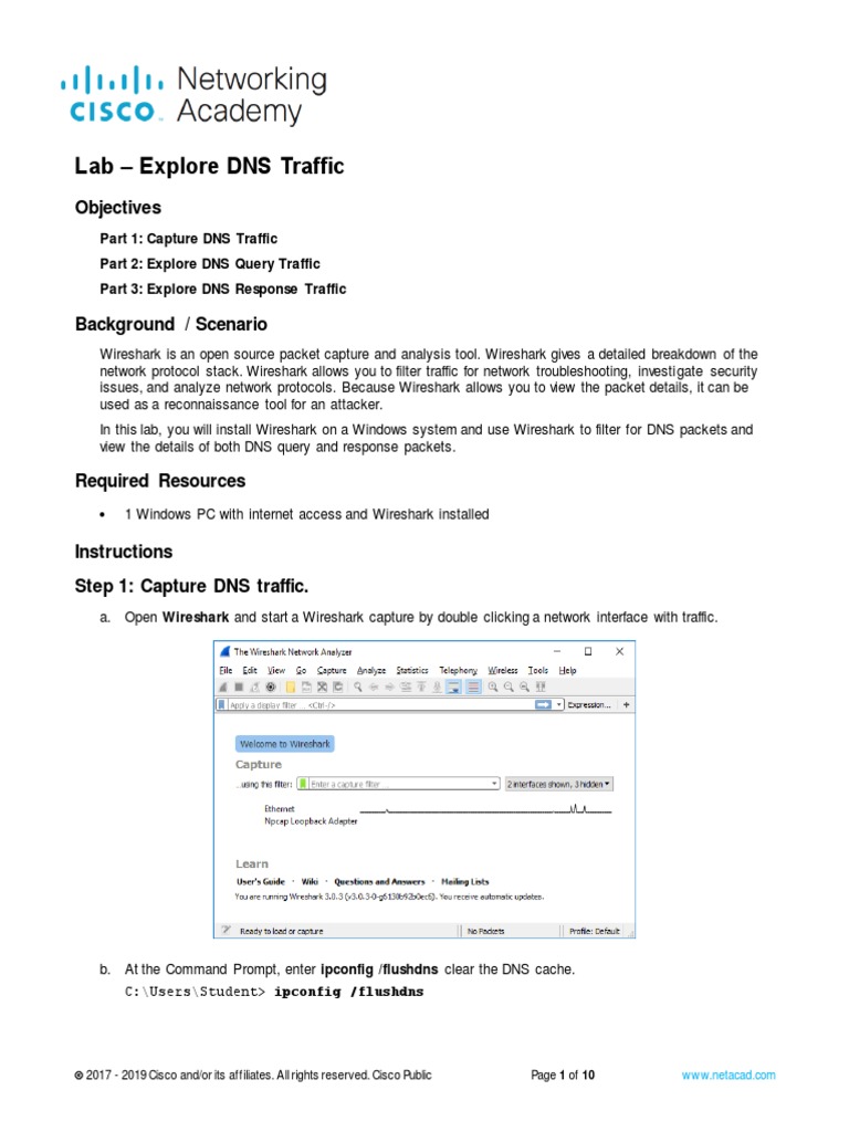 Lab - Explore DNS Traffic: Objectives | PDF | Domain Name System | Ip Address