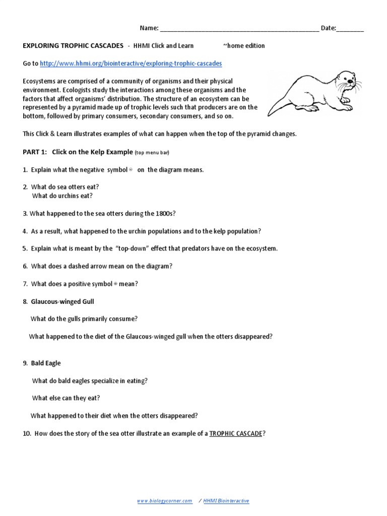 Exploring Trophic Cascades - HHMI (Home Edition) | PDF | Food Web | Habitat