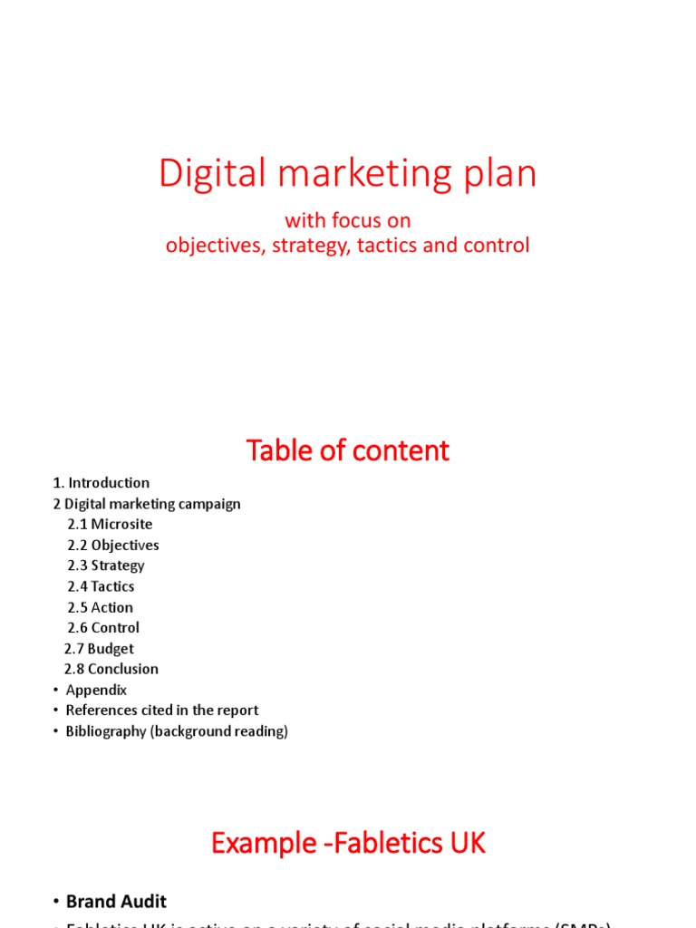 Digital Marketing Plan Example | PDF | Social Media | Popular Culture ...