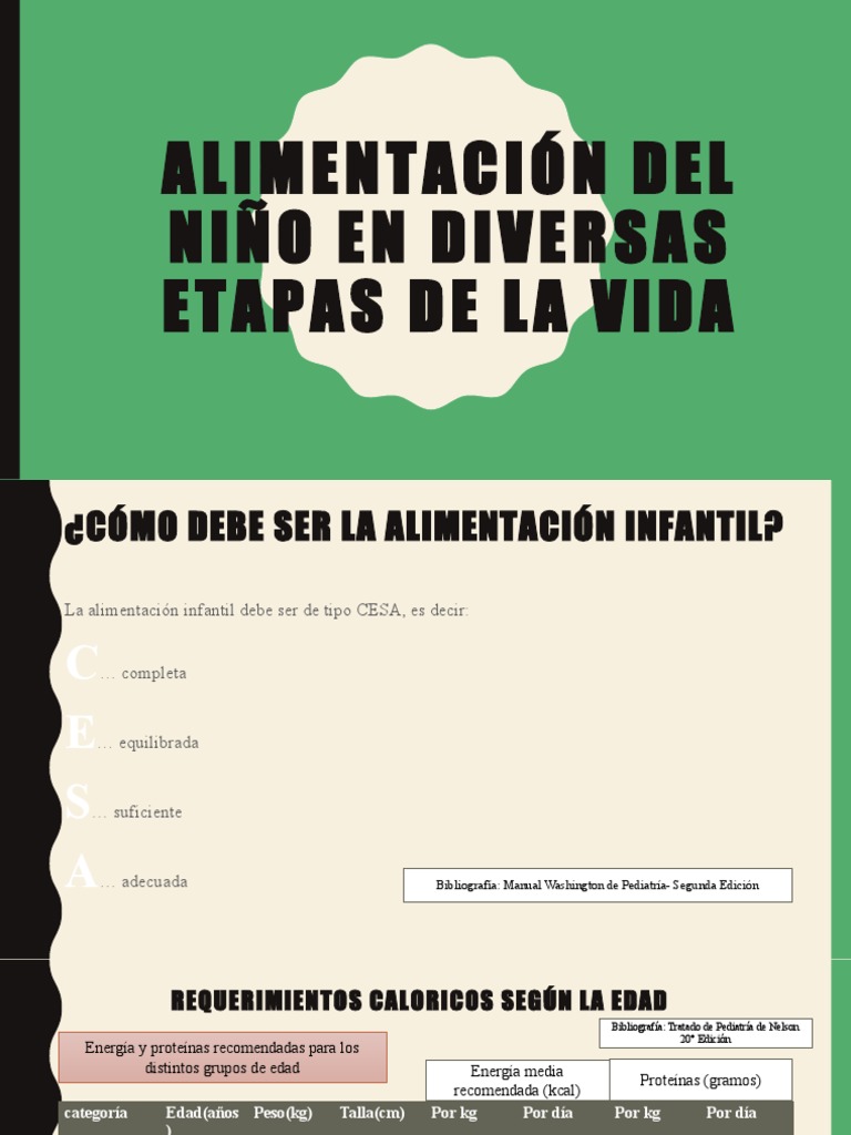 Alimentación Del Niño en Diversas Etapas de La Vida | PDF ...