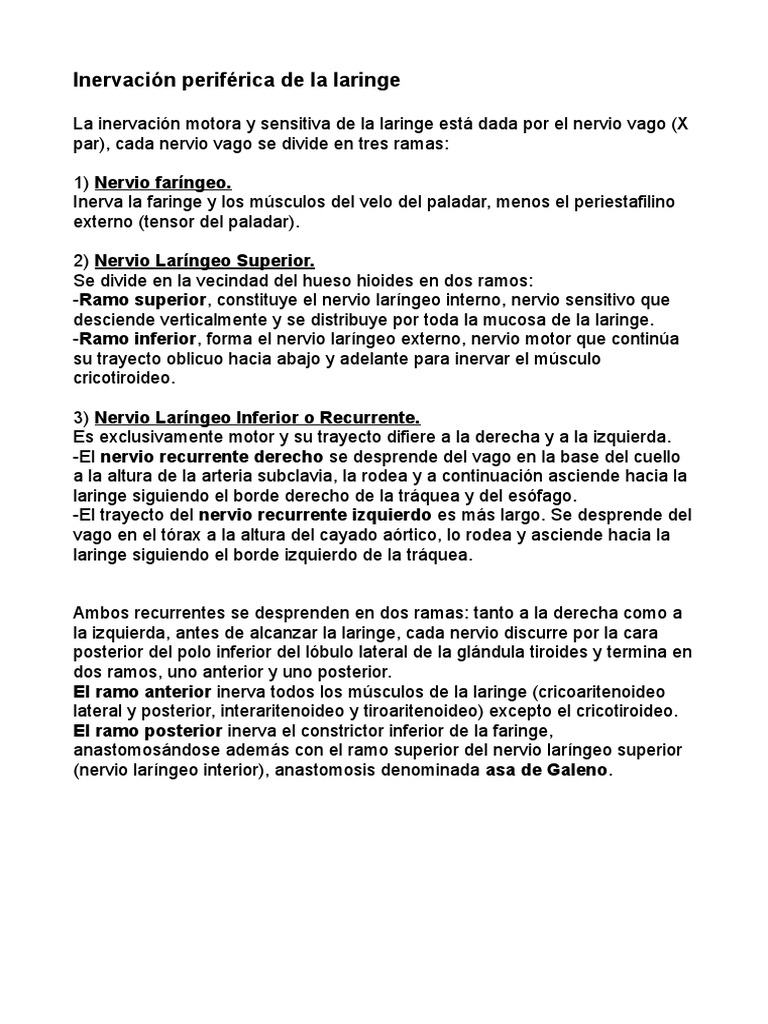 Inervación de La Laringe | PDF