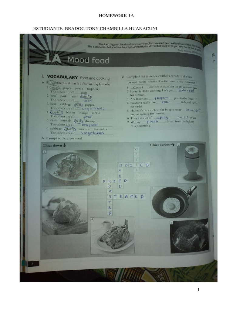 Homework 1A by Bradoc Chambilla | PDF