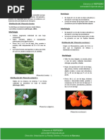 Insecticida Orgánico Entrust SC: Ficha Técnica | PDF
