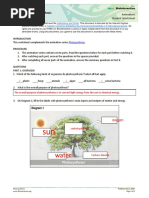 Microscope Lab Answer Key | PDF