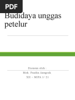 Penyakit Ayam Petelur | PDF